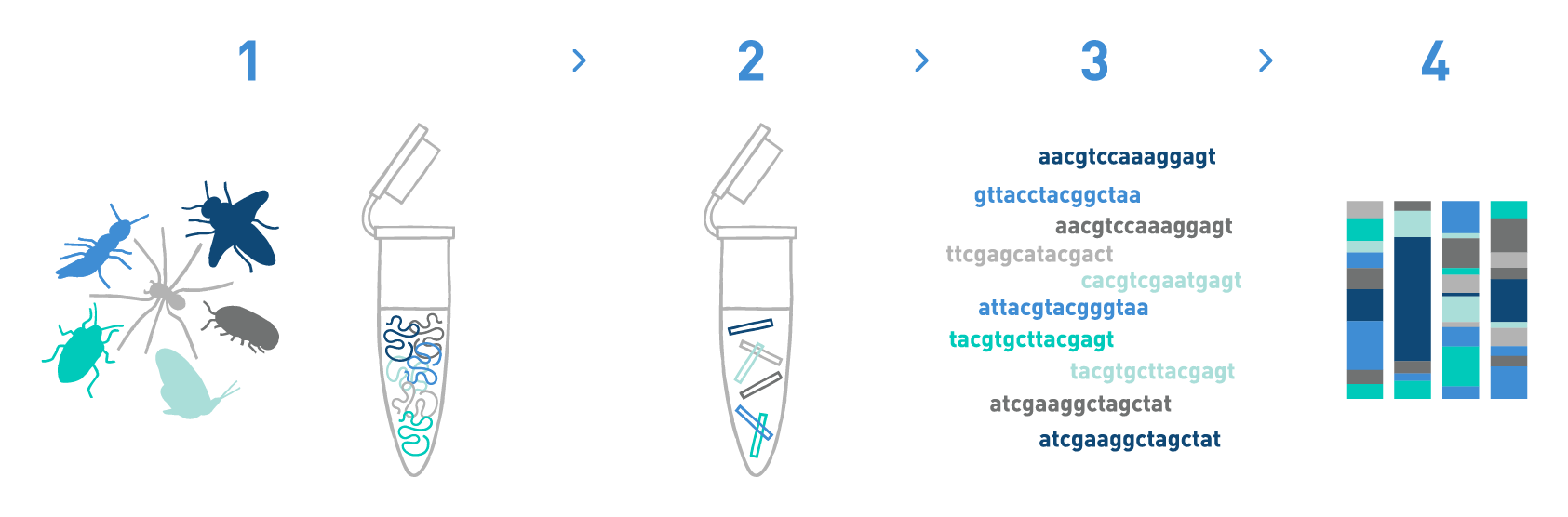 Experts in monitoring biodiversity by DNA metabarcoding | AllGenetics