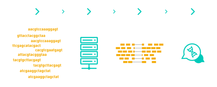 De novo transcriptome assembly | AllGenetics