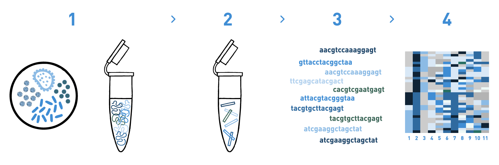 Characterisation of soil and plant microbiome by DNA metabarcoding ...