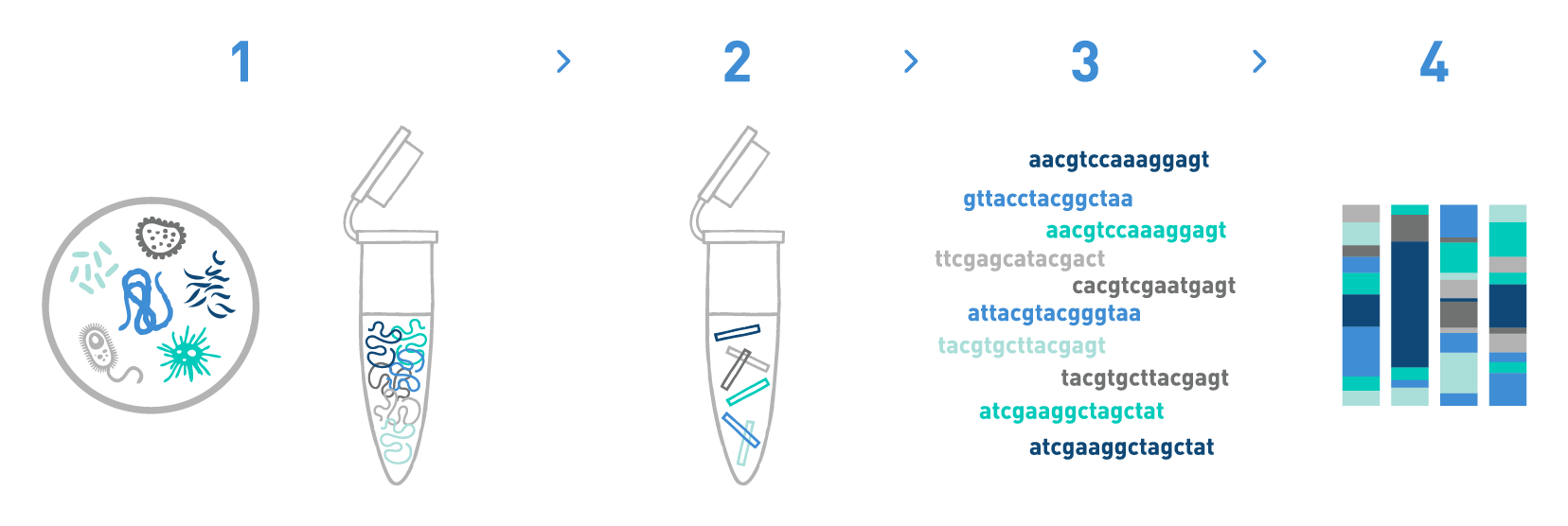 Characterisation of vineyard and wine microbiome by DNA metabarcoding ...