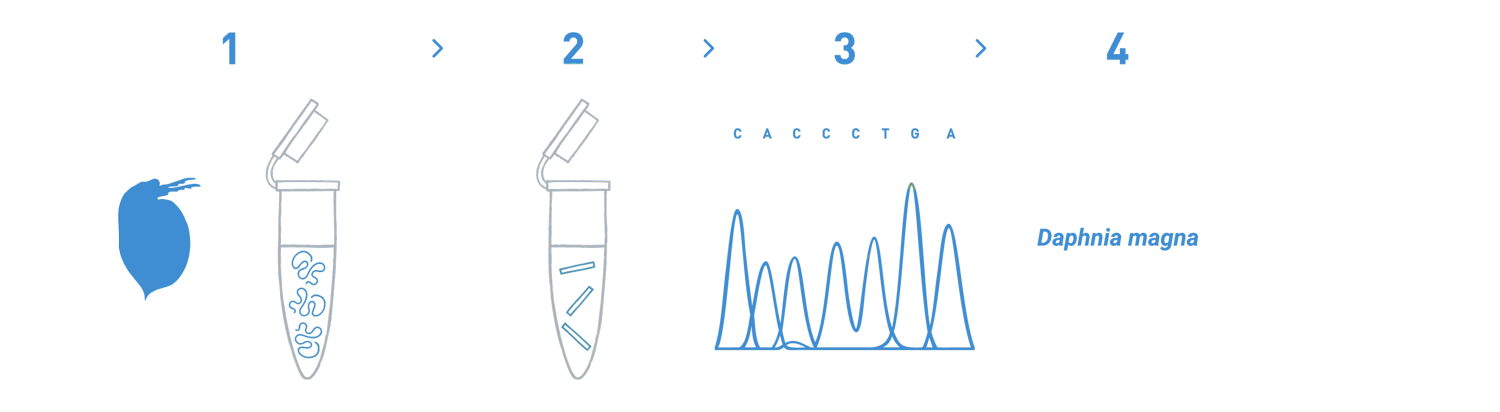Identification of indicator species by DNA barcoding | AllGenetics