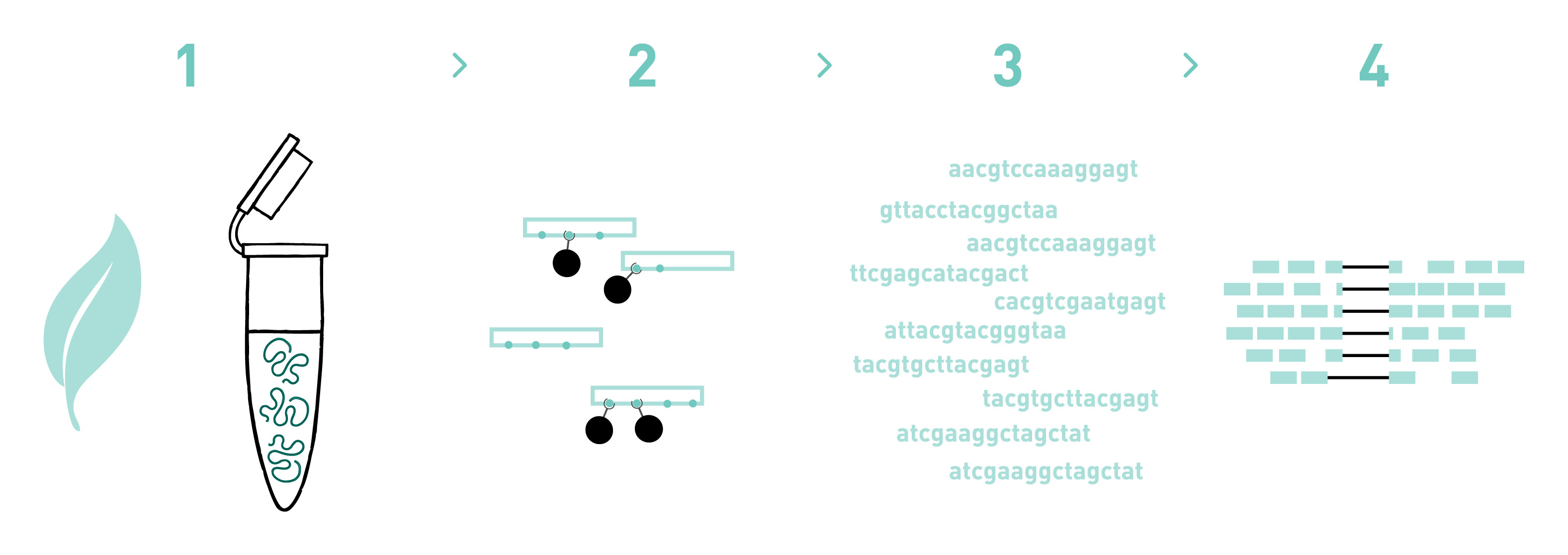 MeRIP-seq service | AllGenetics