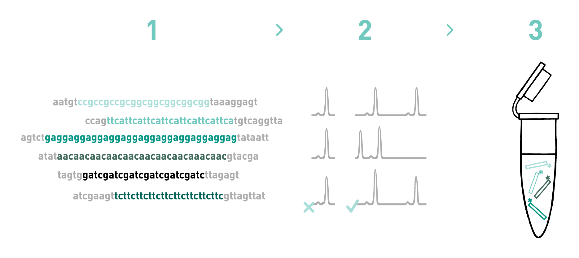 Microsatellite development service | AllGenetics