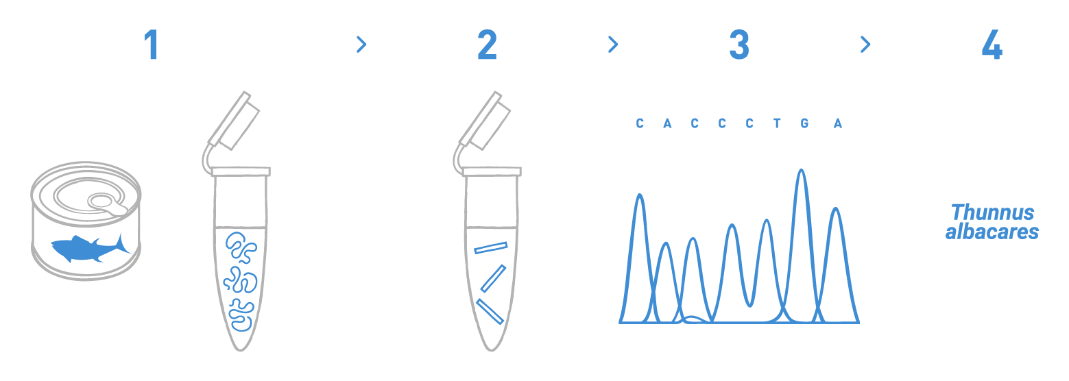Verification of raw materials by DNA barcoding | AllGenetics