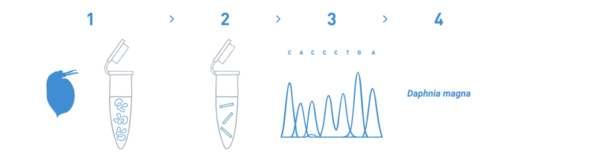 Verification of test specimens by DNA barcoding | AllGenetics